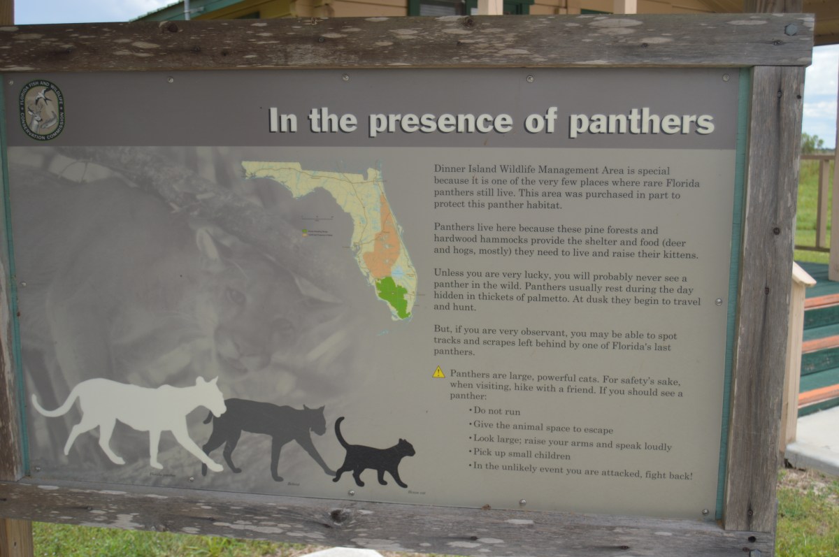 The Destruction of FLorida: DInner Island Ranch « cyndi lenz